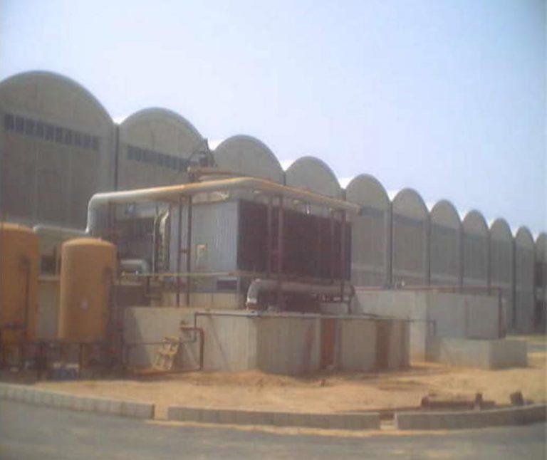 Tri-Pack Films Project – ACL